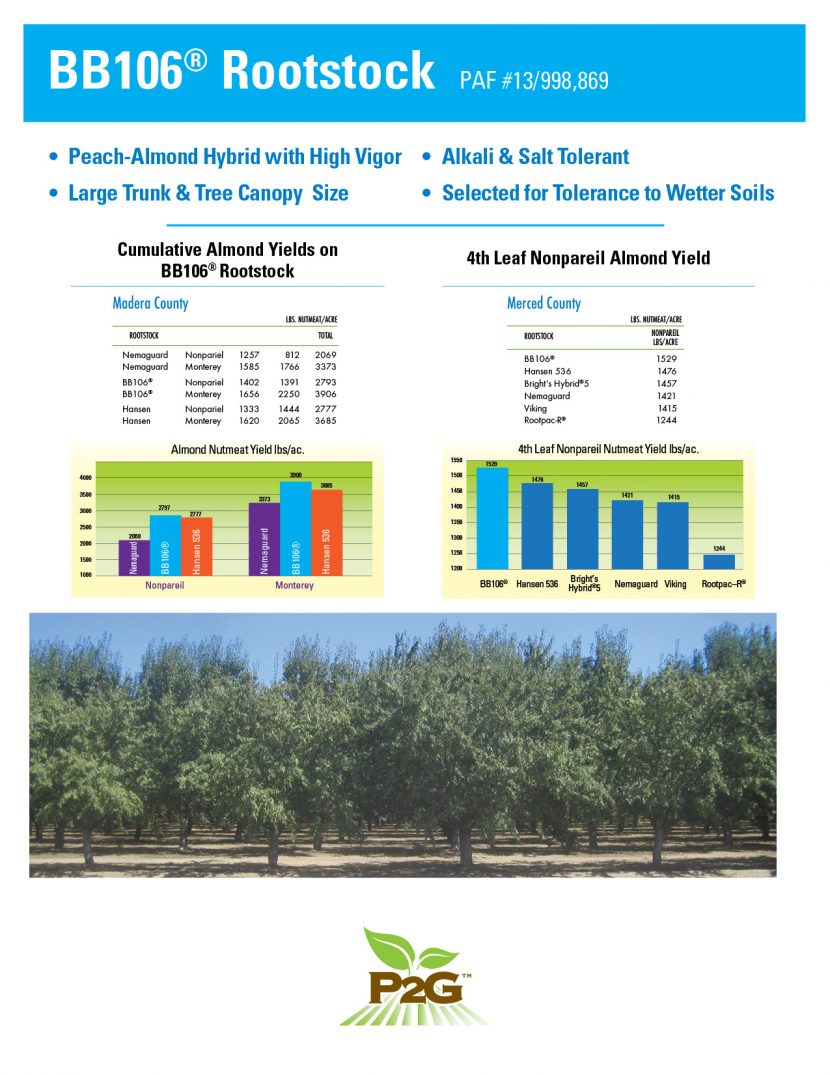 Rootstock Data – Progressive Genetics Group